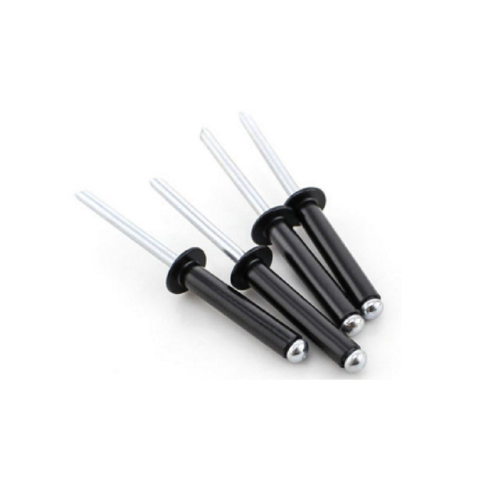 Black pop rivets store